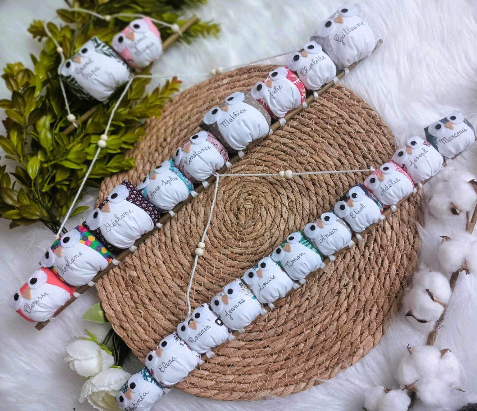 Arbre généalogique - Kelly Dkdo